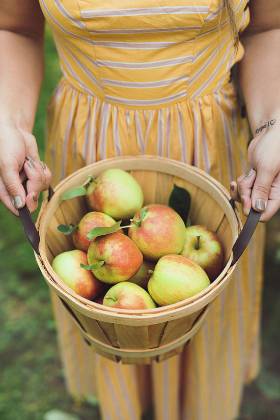 Apple Season in BC & WA- A Guide to Apples - xoxoBella