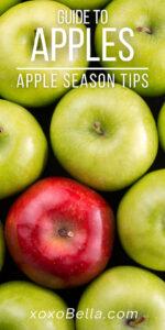 Apple Season in BC & WA- A Guide to Apples | xoxoBella