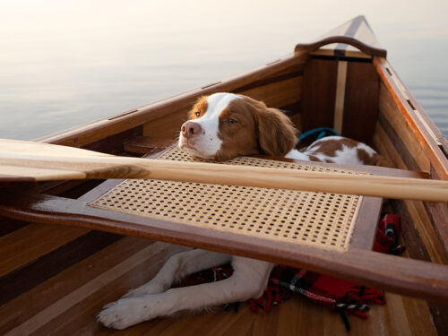 How to Embrace Your Inner Granola Girl: A Step-by-Step Guide - xoxoBella