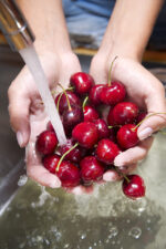 Cherry Season in BC & WA- A Guide to Cherries - xoxoBella