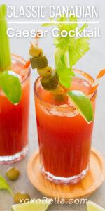 Canadian Caesar Cocktail - xoxoBella
