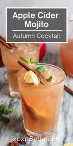 Apple Cider Mojito - xoxoBella