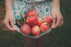 Apple Season in BC & WA- A Guide to Apples - xoxoBella