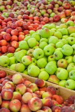 Apple Season in BC & WA- A Guide to Apples - xoxoBella