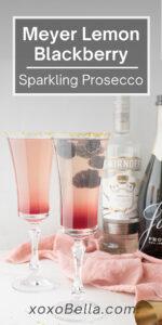 Lemon Berry Prosecco Cocktail - xoxoBella