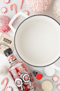 Pink Peppermint Jello Shots - xoxoBella