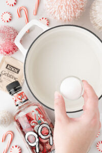 Pink Peppermint Jello Shots - xoxoBella