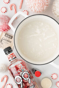 Pink Peppermint Jello Shots - xoxoBella
