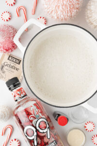 Pink Peppermint Jello Shots - xoxoBella