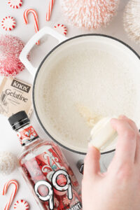 Pink Peppermint Jello Shots - xoxoBella