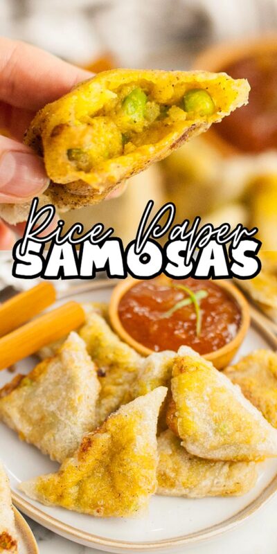 Rice Paper Samosas - xoxoBella
