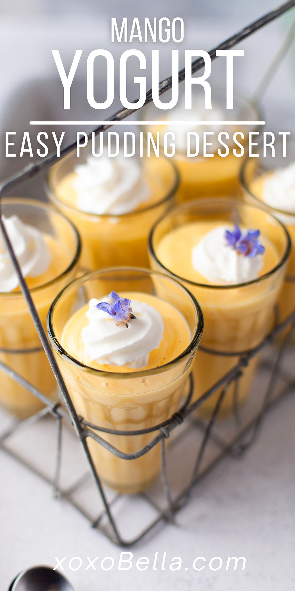 Mango Yogurt Dessert - xoxoBella