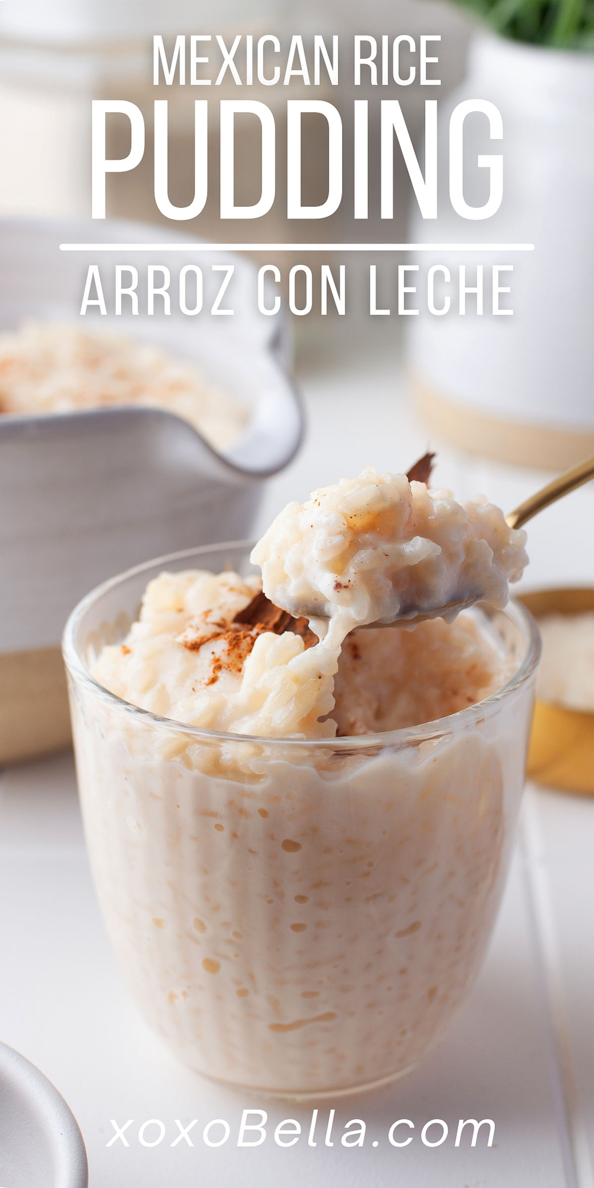 Mexican Rice Pudding - Arroz Con Leche - xoxoBella