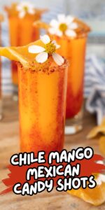 Chile Mango Mexican Candy Shots - xoxoBella