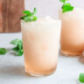 Mint Julep Slushie - xoxoBella