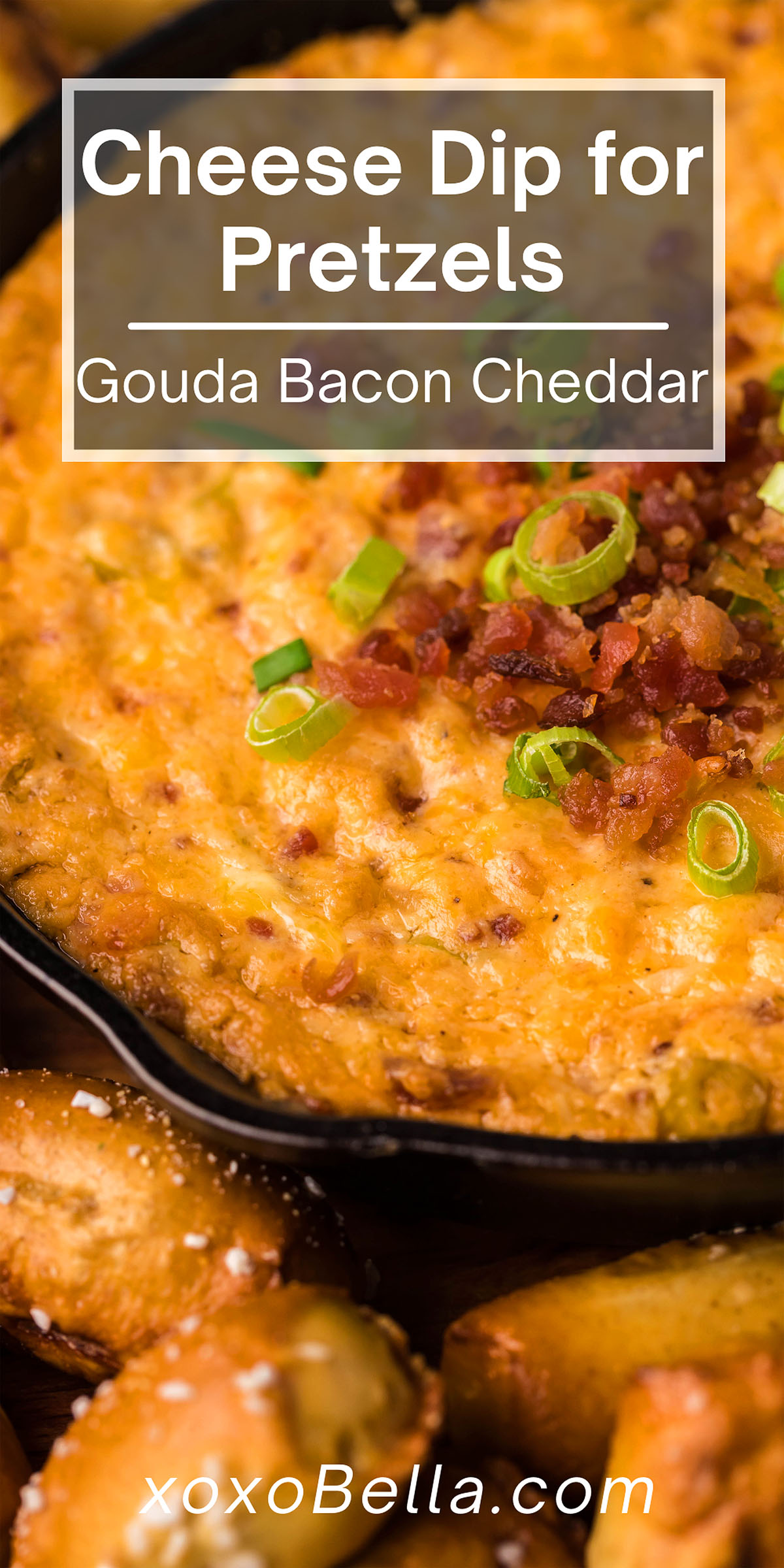 Smoked Gouda Cheddar Bacon Dip - xoxoBella
