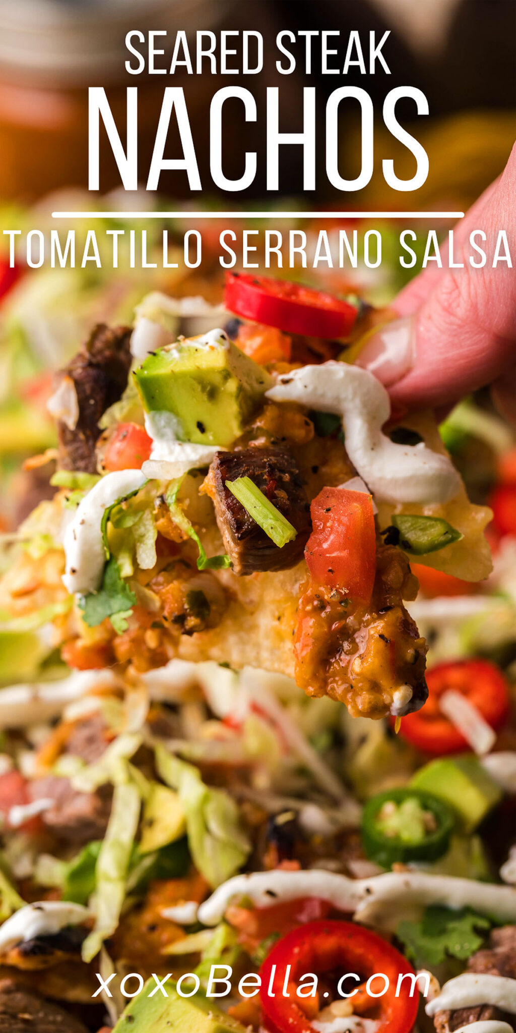 Seared Steak Nachos - xoxoBella