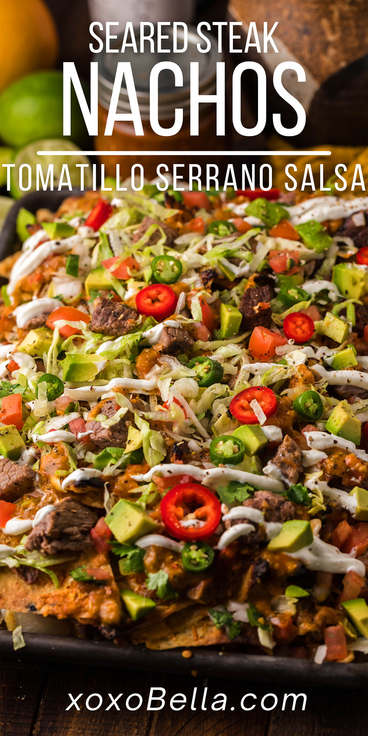 Seared Steak Nachos - xoxoBella