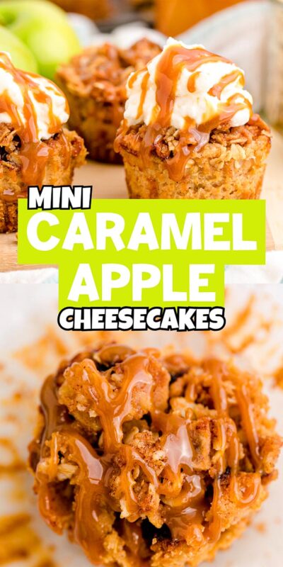 Mini Caramel Apple Cheesecakes - xoxoBella
