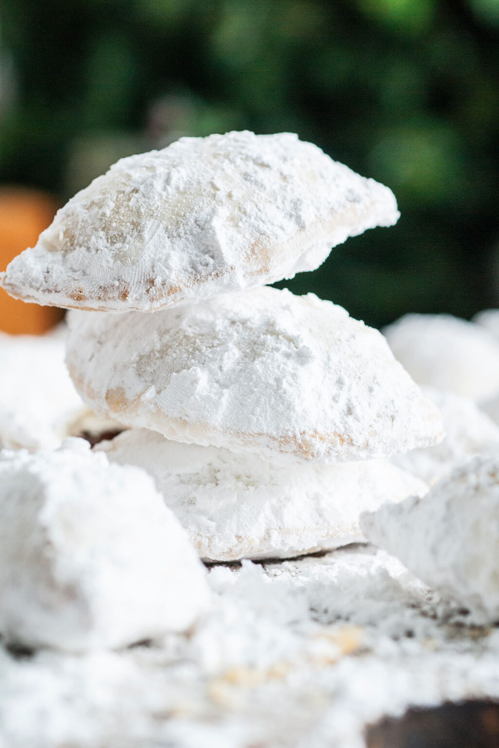 Chestnut Tortelli Cookies - xoxoBella