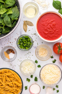 Penne Rosa Pasta - xoxoBella