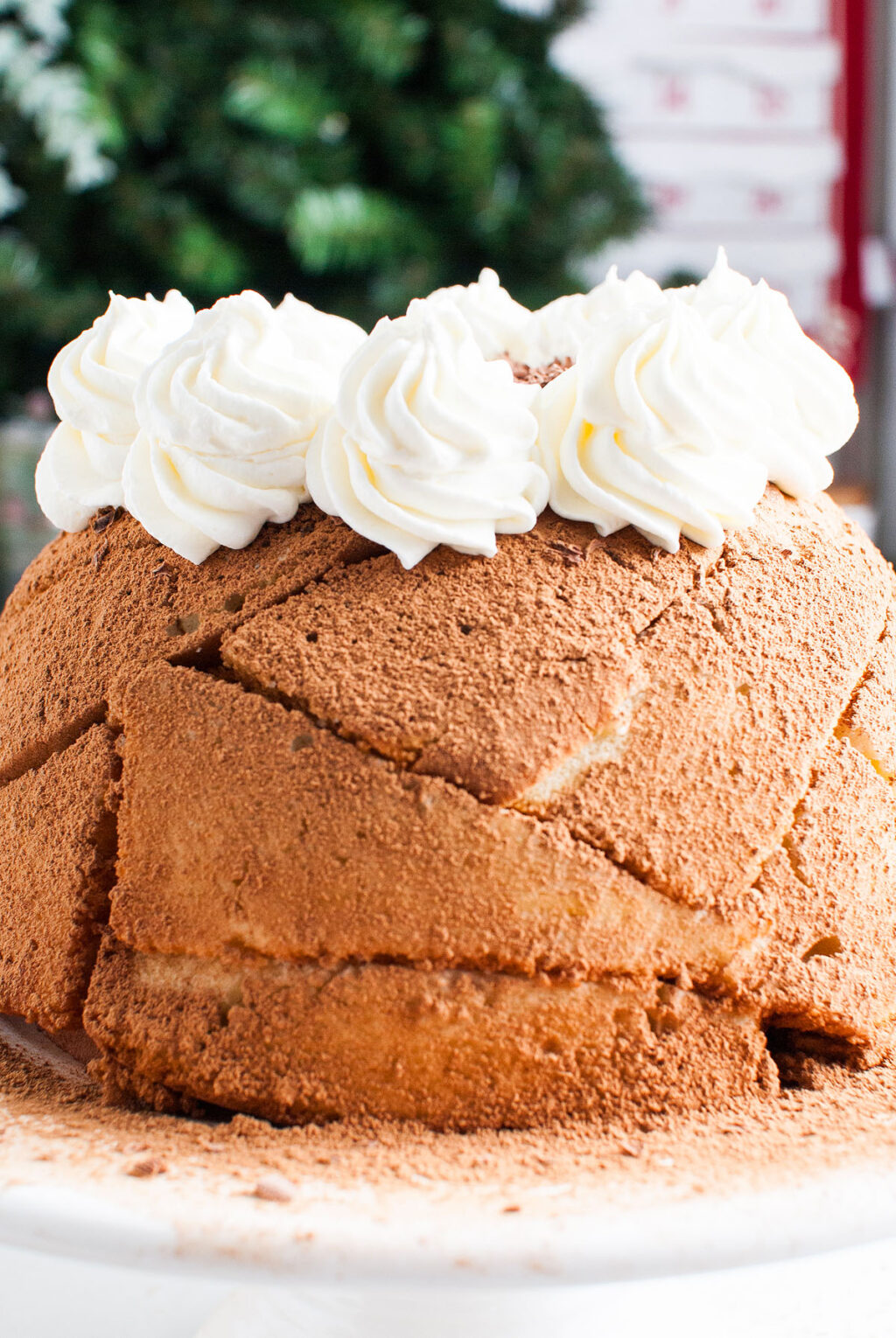 Italian Christmas Zuccotto Cake - xoxoBella