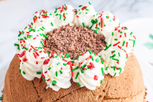 Italian Christmas Zuccotto Cake - xoxoBella