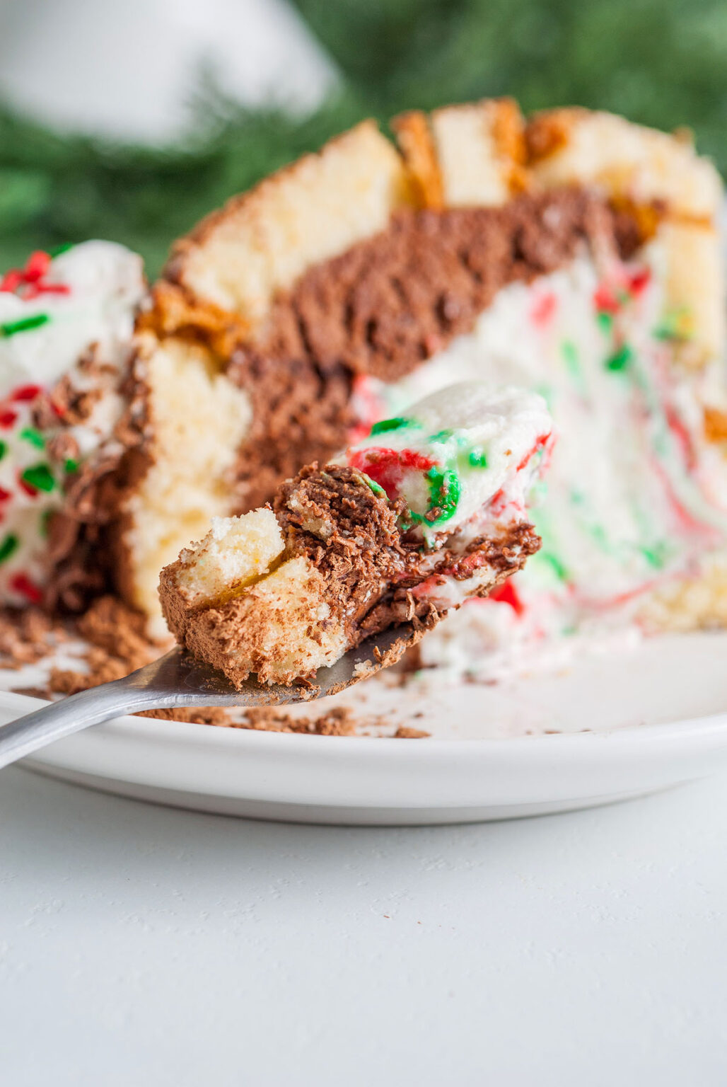 Italian Christmas Zuccotto Cake - xoxoBella