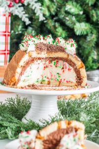 Italian Christmas Zuccotto Cake - xoxoBella
