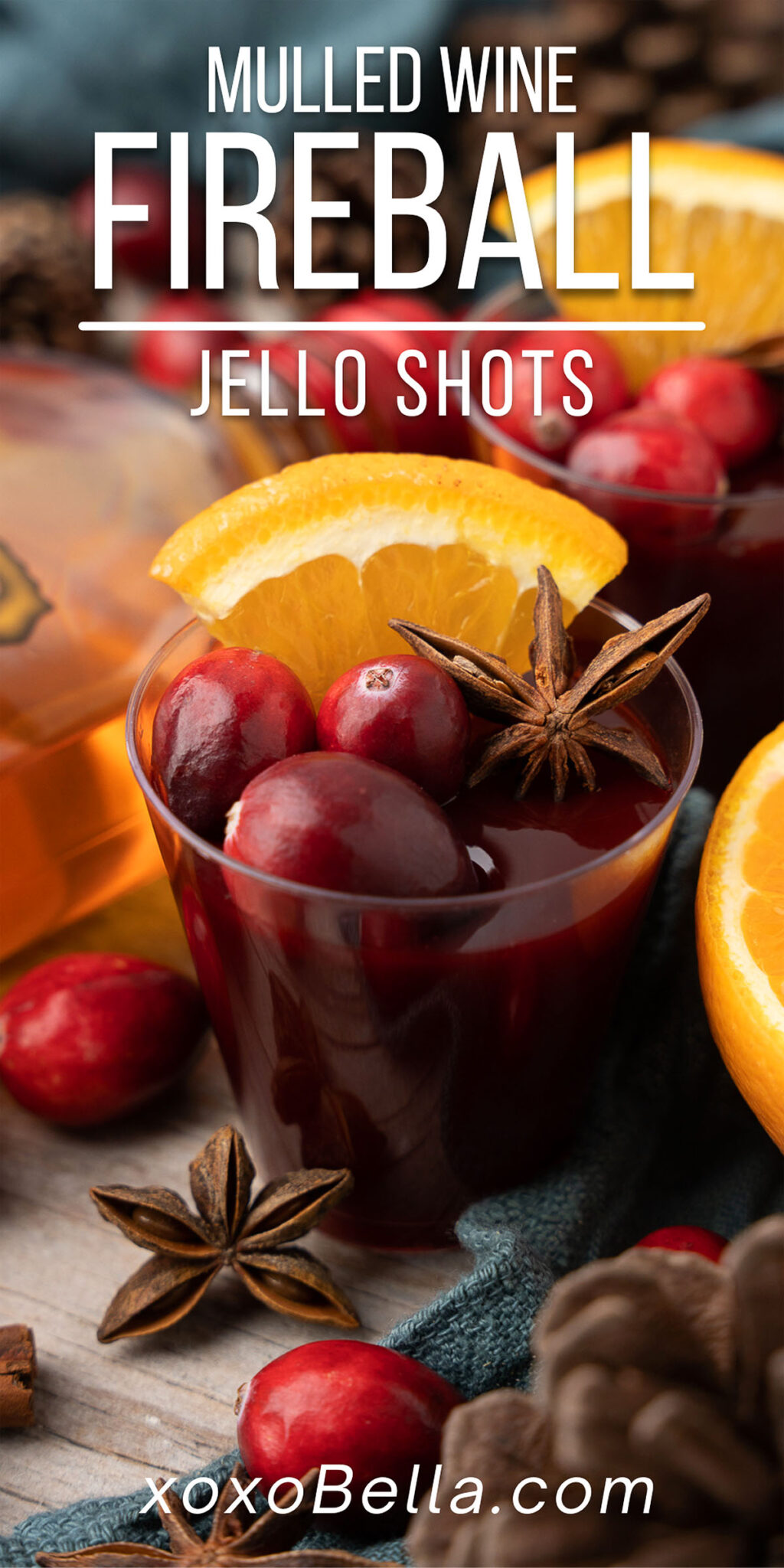 Mulled Wine Fireball Jello Shots - xoxoBella