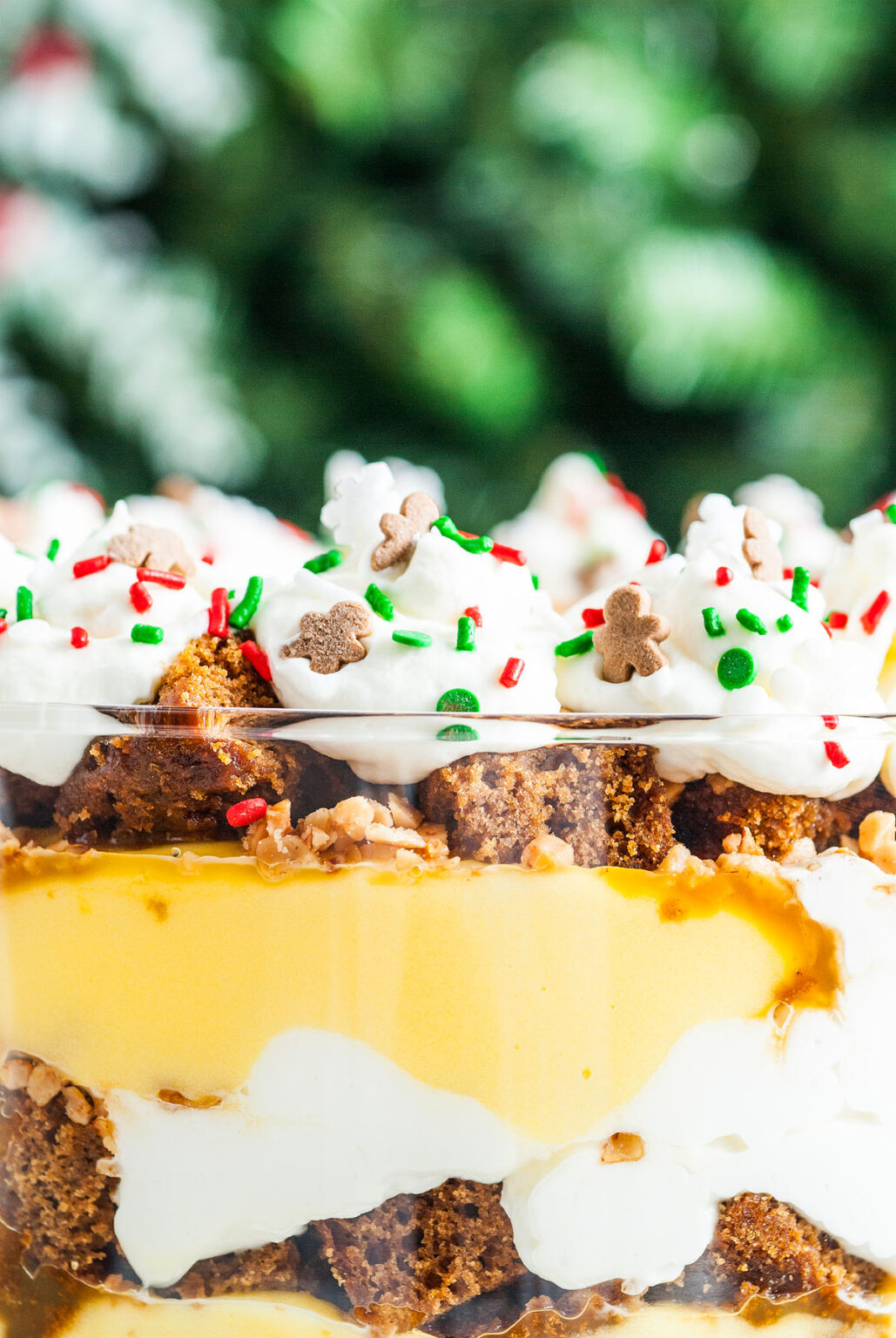 Gingerbread Trifle - xoxoBella