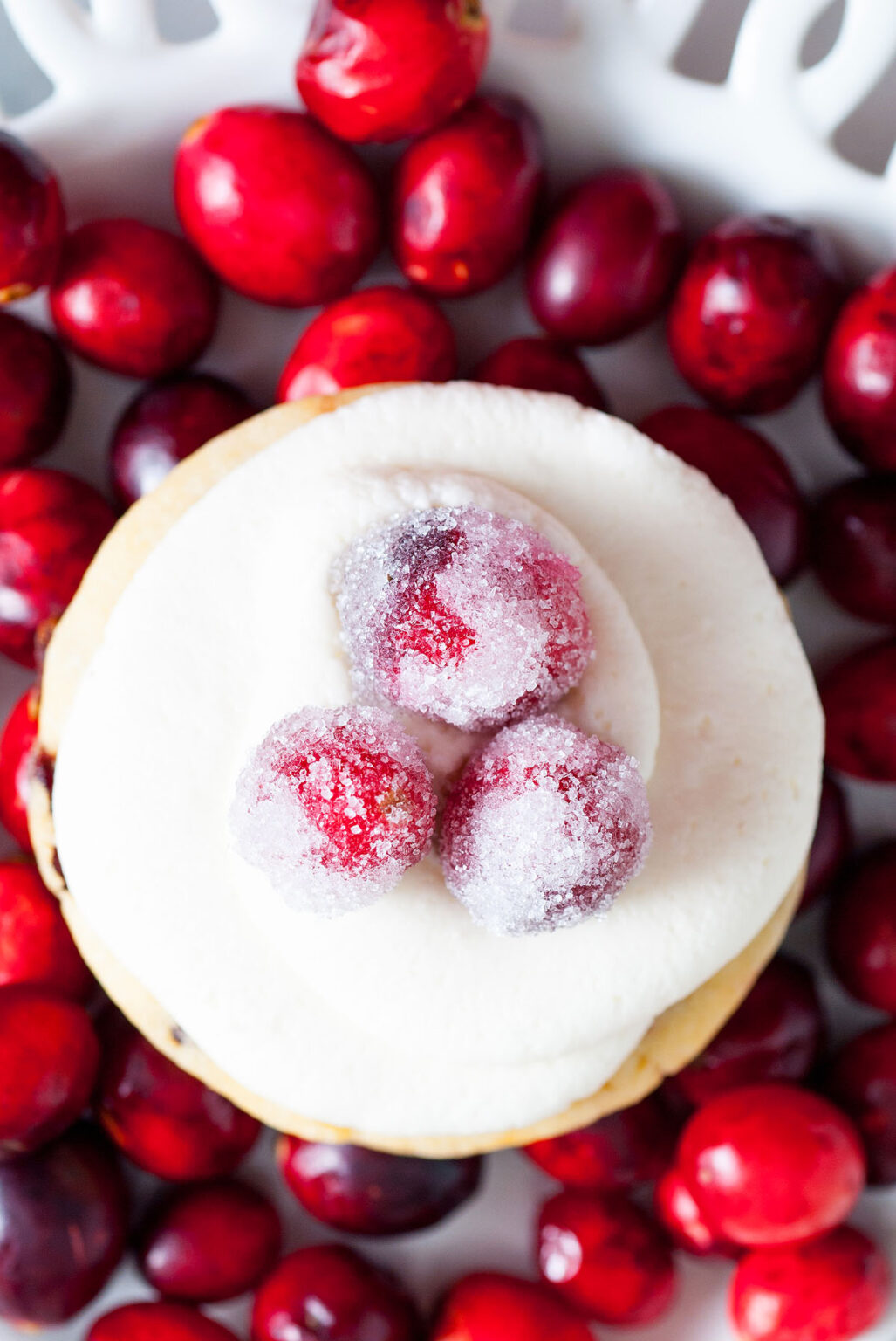 Sparkling Frosted Cranberry Cookies - xoxoBella