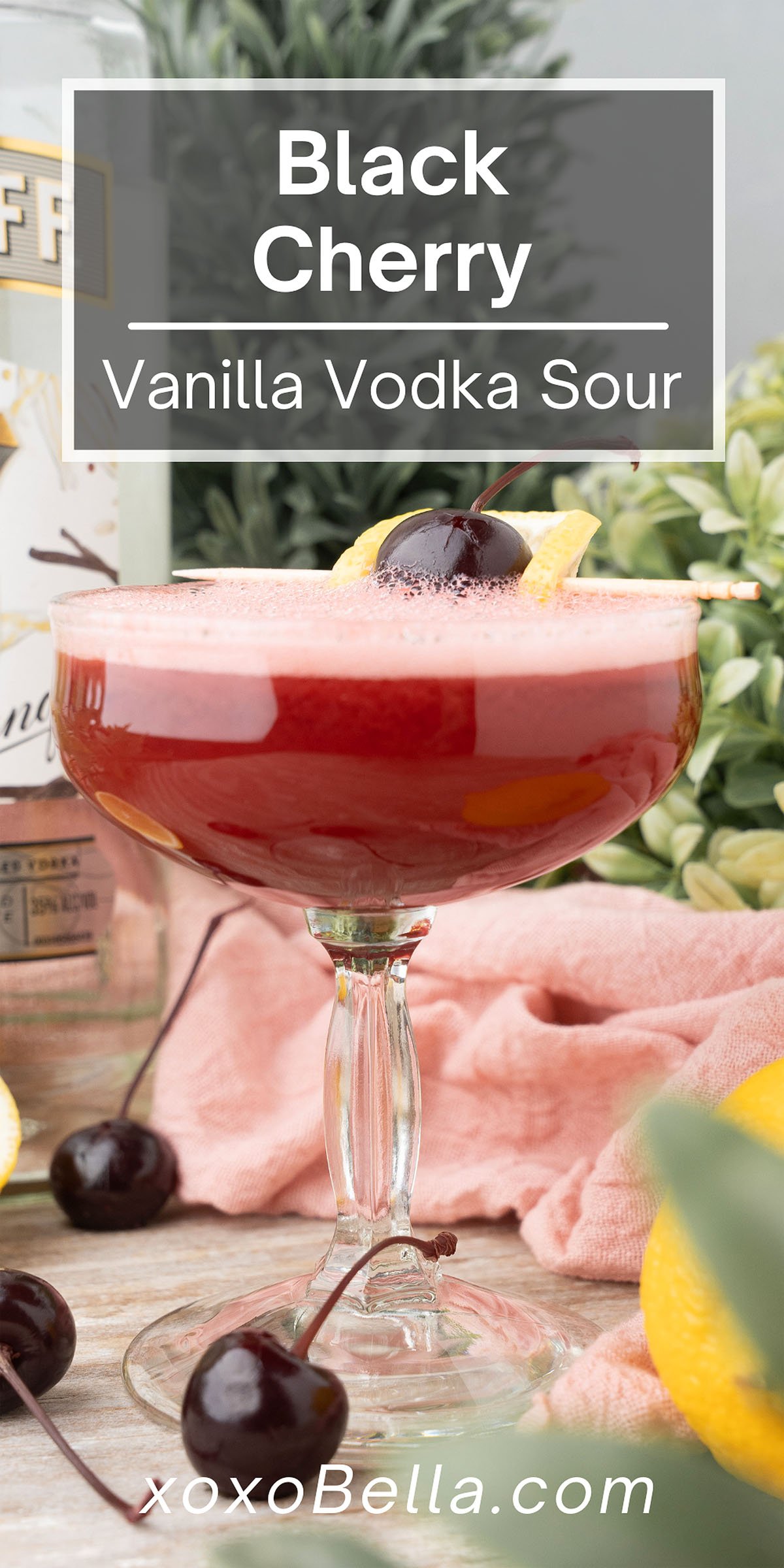 Black Cherry Vanilla Vodka Sour - xoxoBella