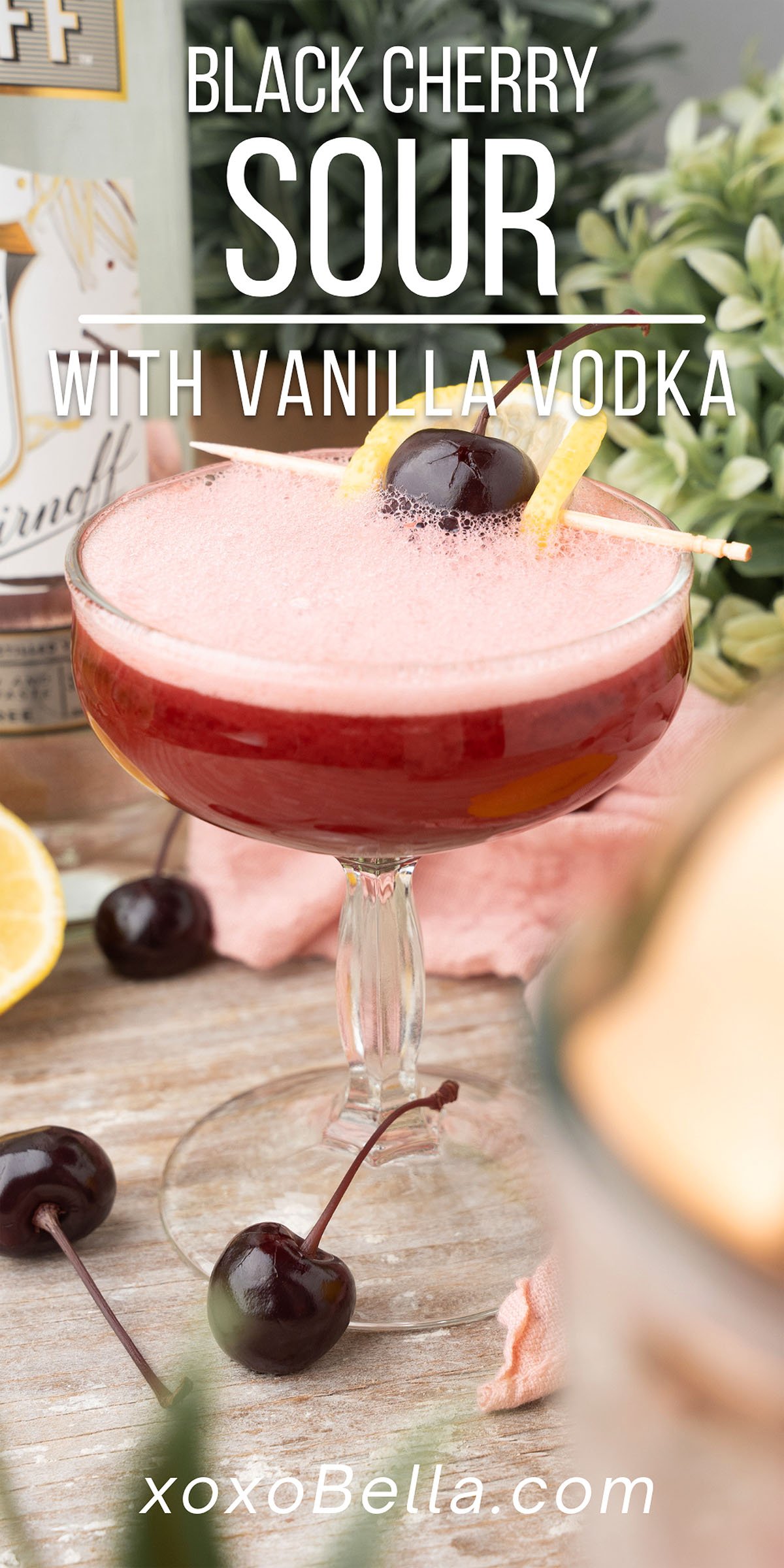 Black Cherry Vanilla Vodka Sour - xoxoBella