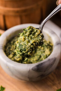 Italian Basil Pesto - Pesto Genovese - xoxoBella