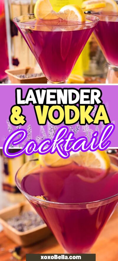 Lavender Vodka Cocktail - xoxoBella