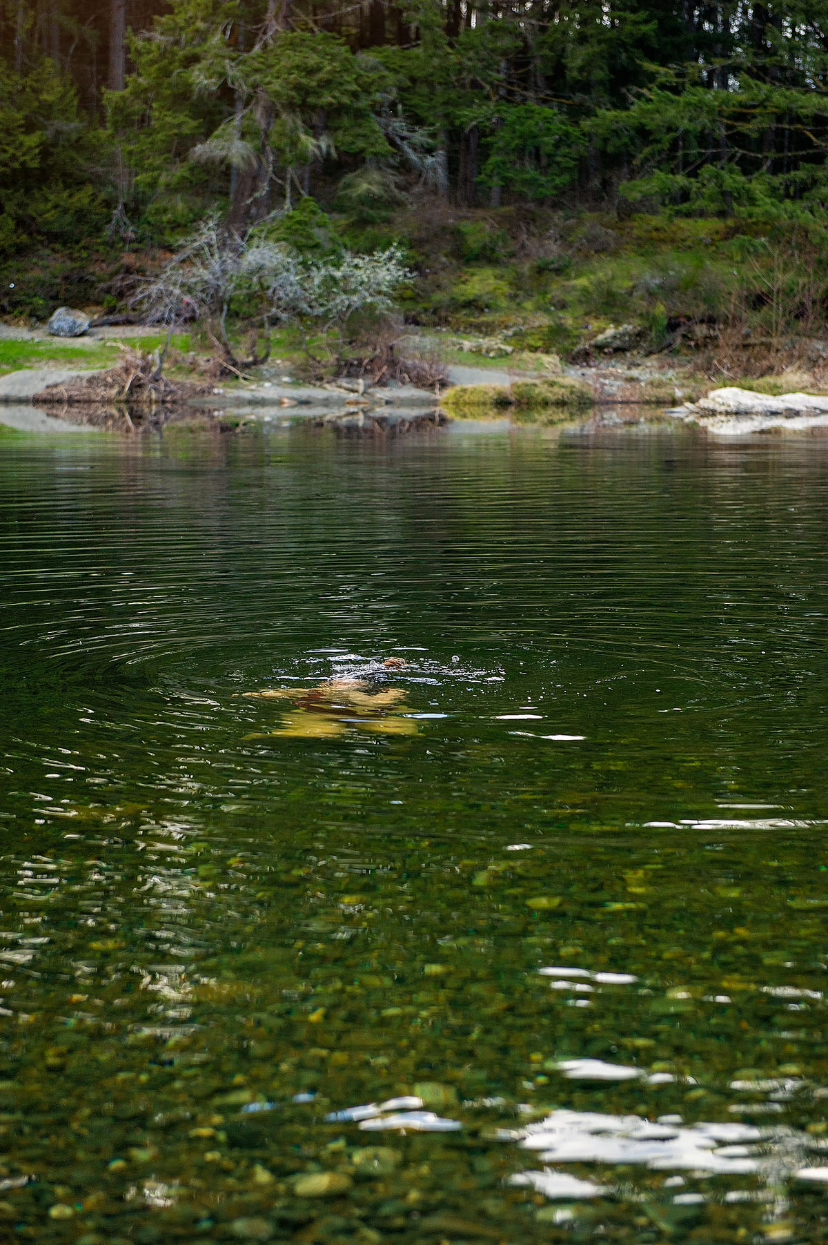 The Joy of Freezing Your Butt Off: Why Cold Water Dipping is Addictive ...
