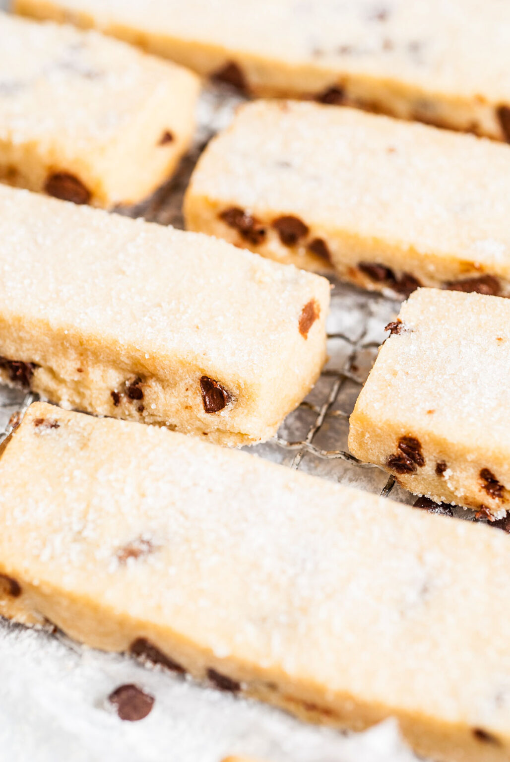 Chocolate Chip Shortbread Cookies - xoxoBella