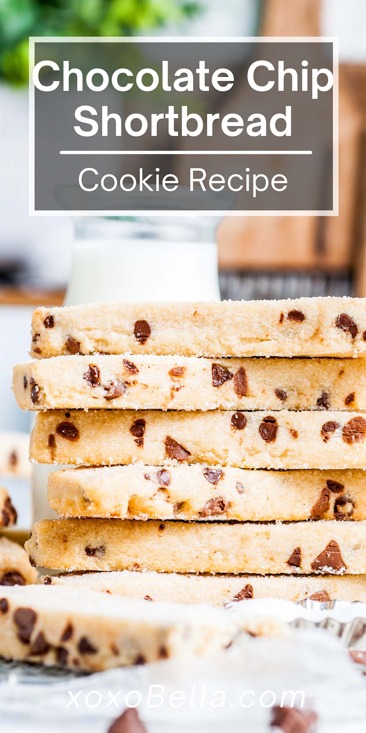 Chocolate Chip Shortbread Cookies - xoxoBella