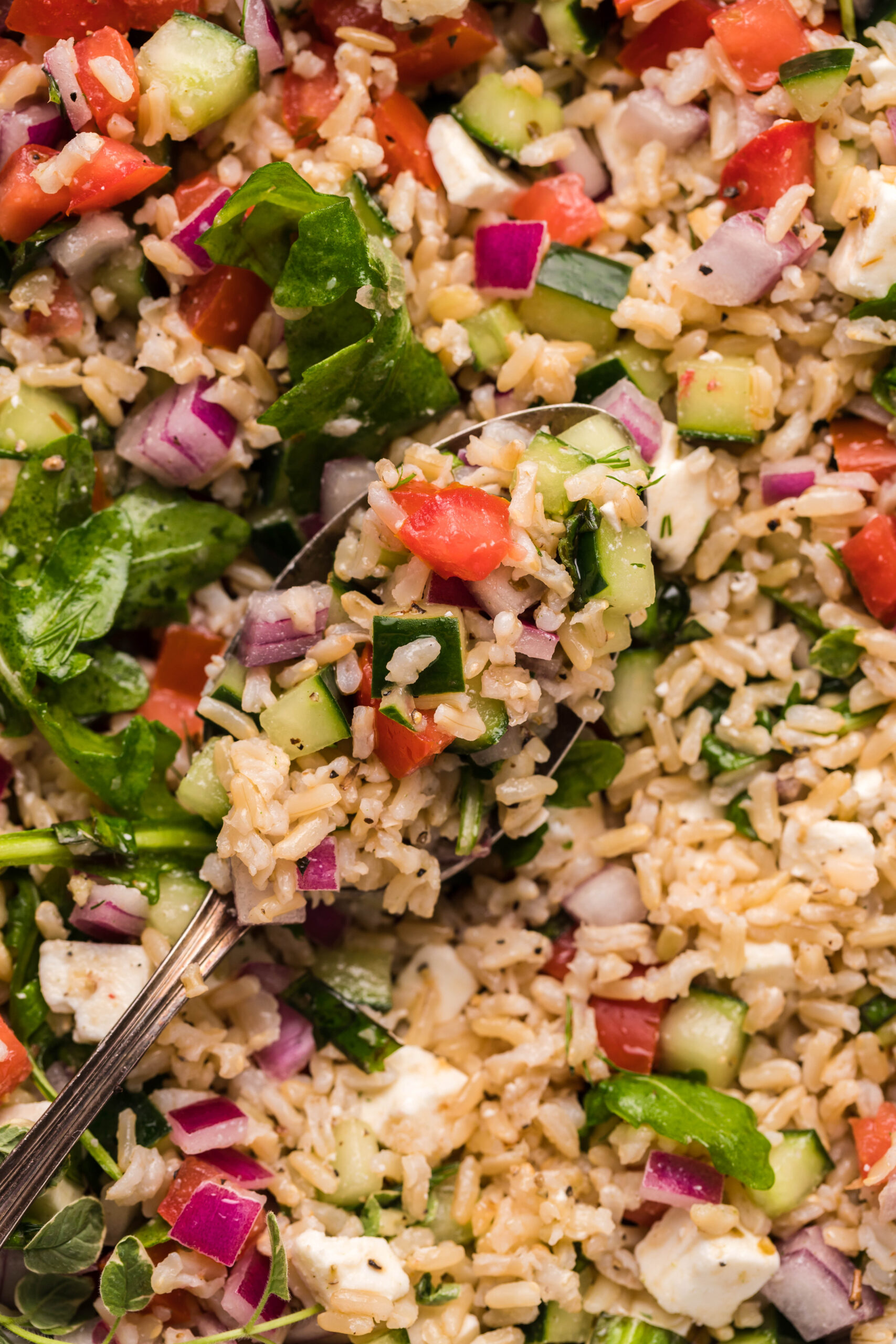 Italian Rice Salad - Insalata di Riso - xoxoBella