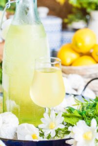 Italian Limoncello Recipe - xoxoBella
