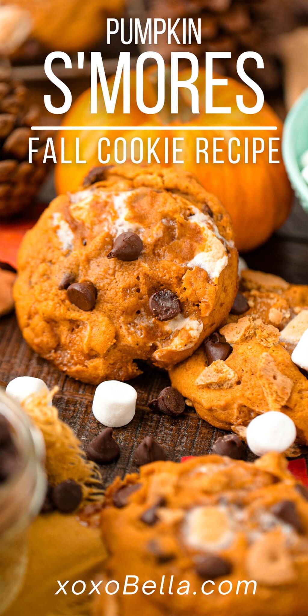 Pumpkin S'mores Cookies - xoxoBella