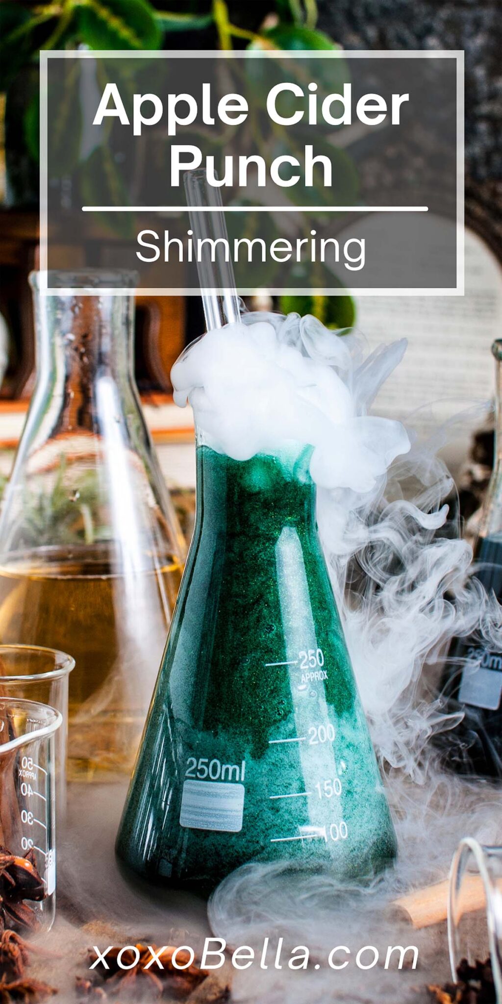 Shimmering Halloween Apple Cider Punch - xoxoBella