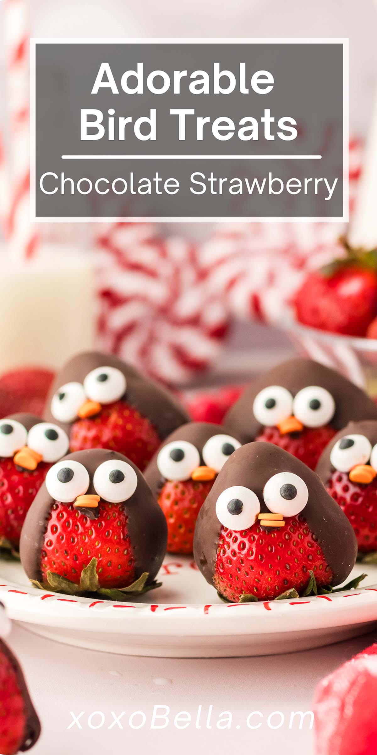 Chocolate Strawberry Birds - xoxoBella