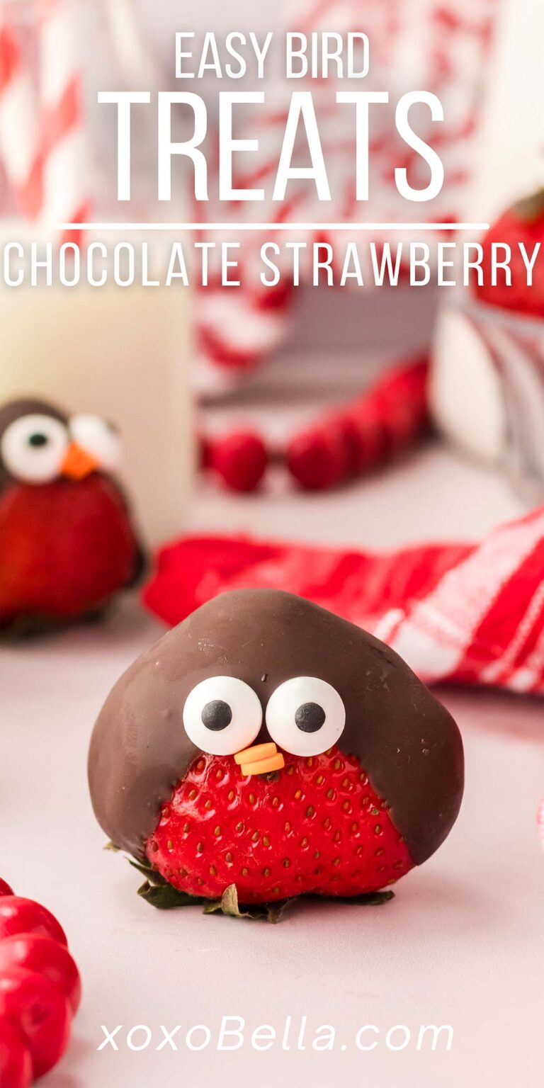 Chocolate Strawberry Birds - xoxoBella