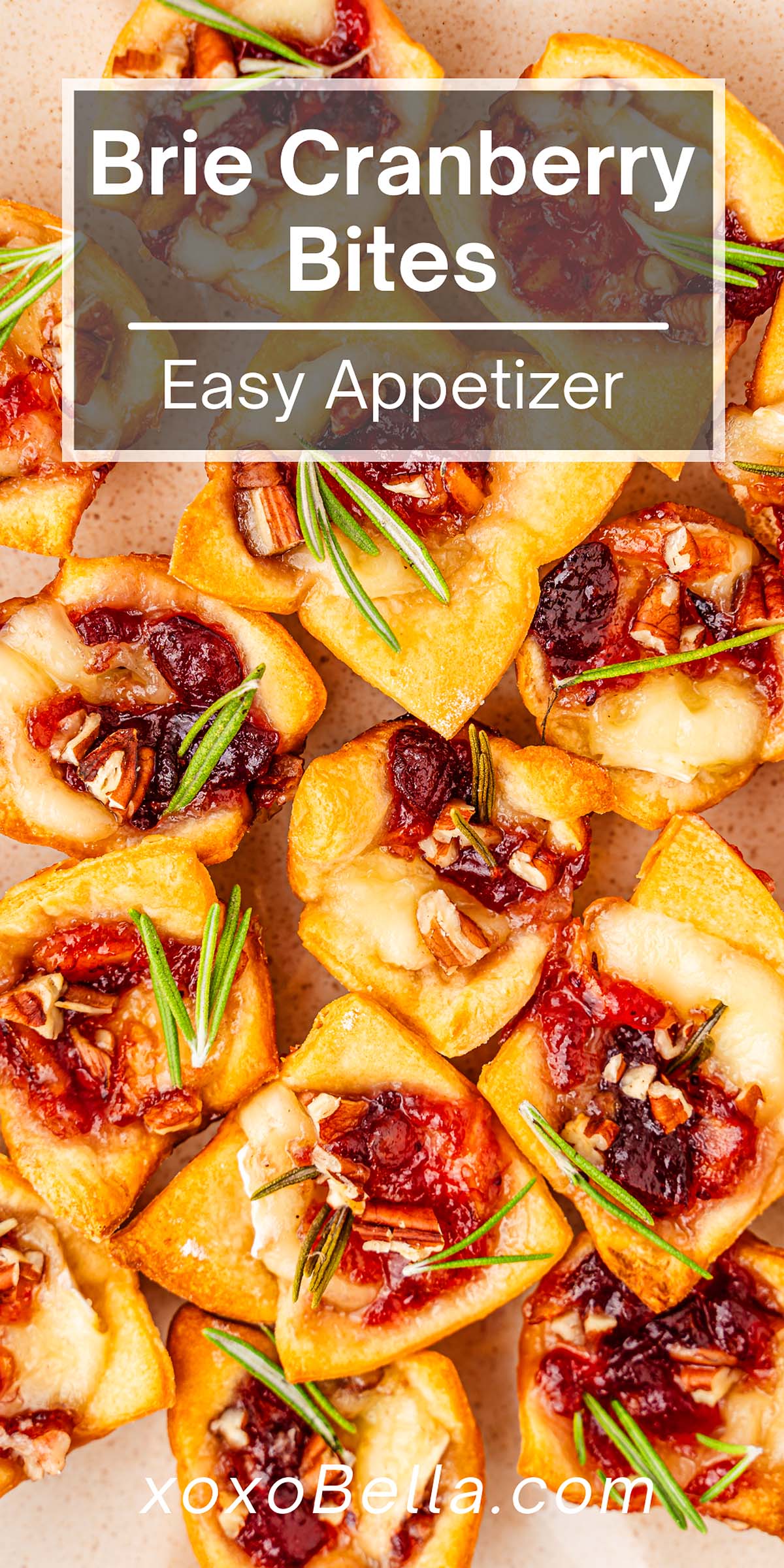 Brie Cranberry Bites Appetizer - xoxoBella