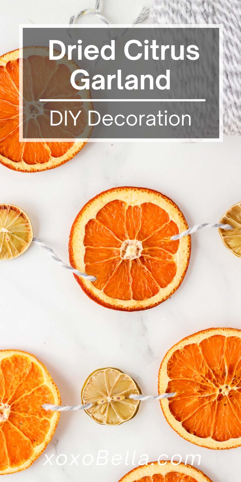 Homemade Dried Orange Garland - xoxoBella