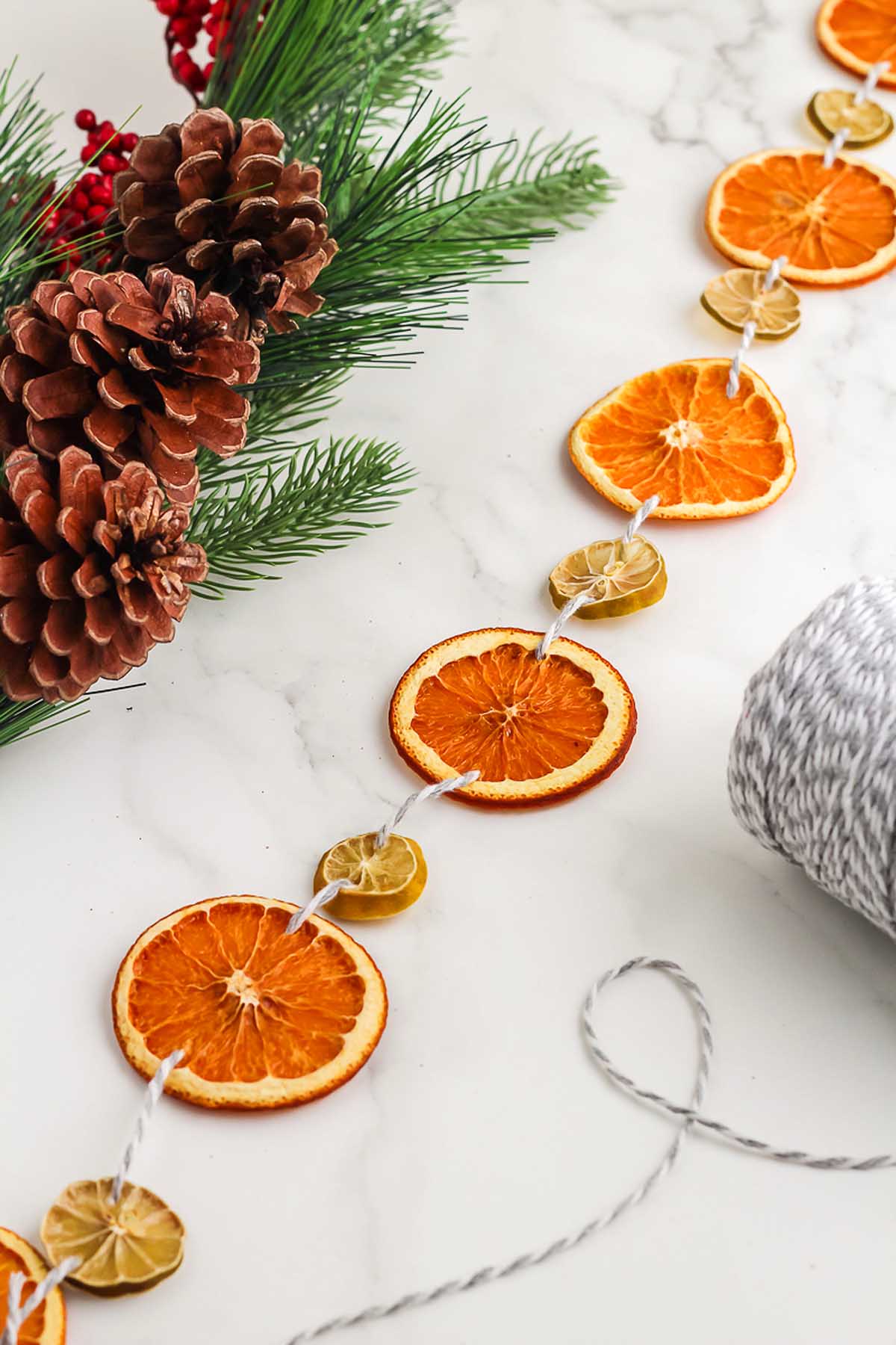 Homemade Dried Orange Garland - xoxoBella
