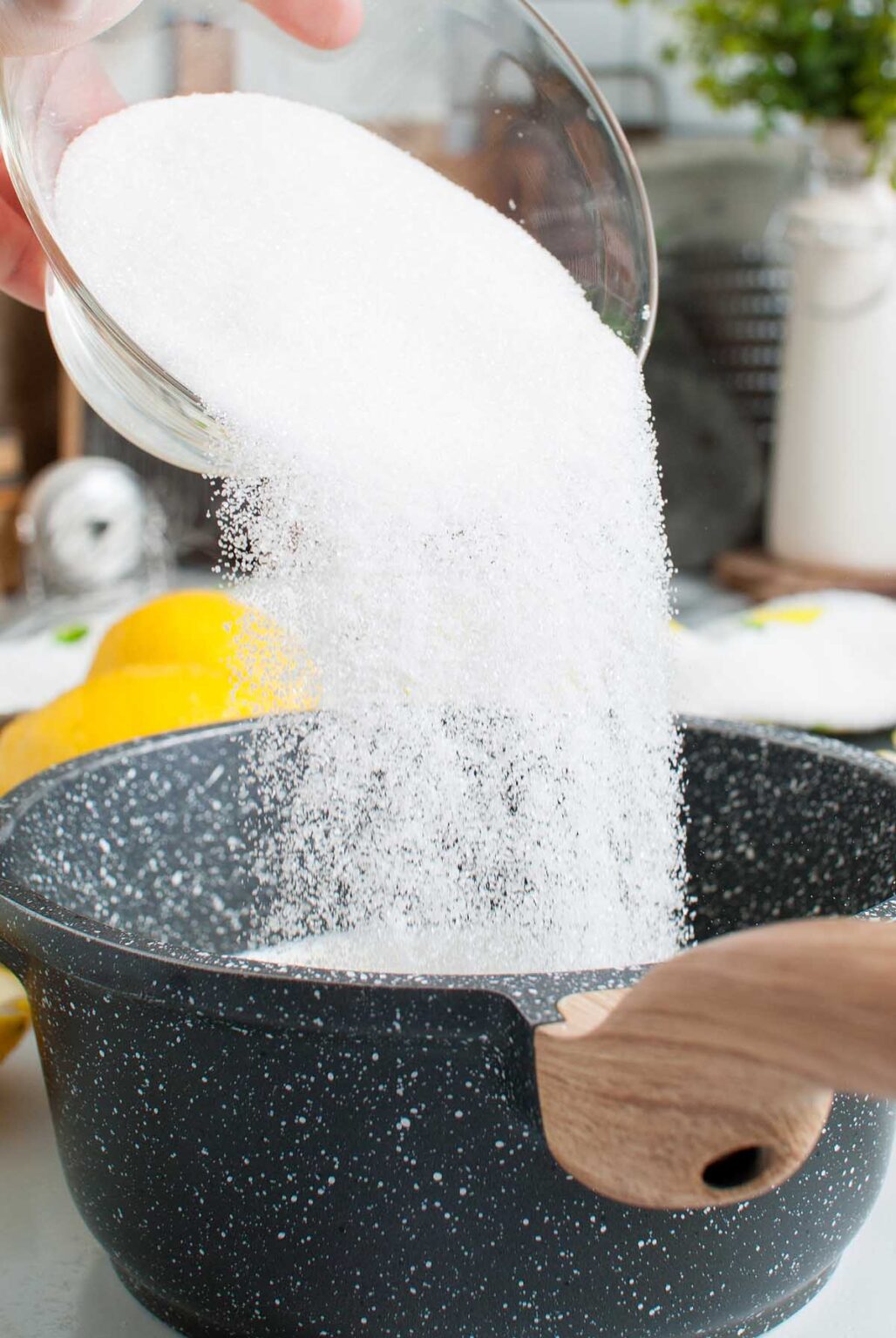 Lemon Posset Brûlée - xoxoBella