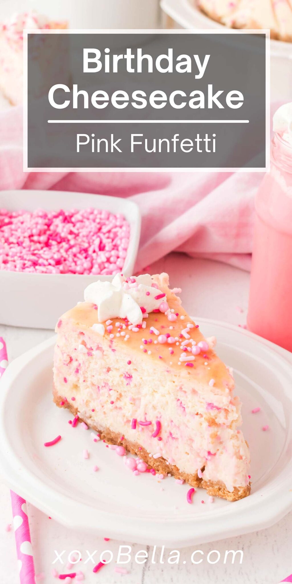 Funfetti Birthday Cheesecake - xoxoBella